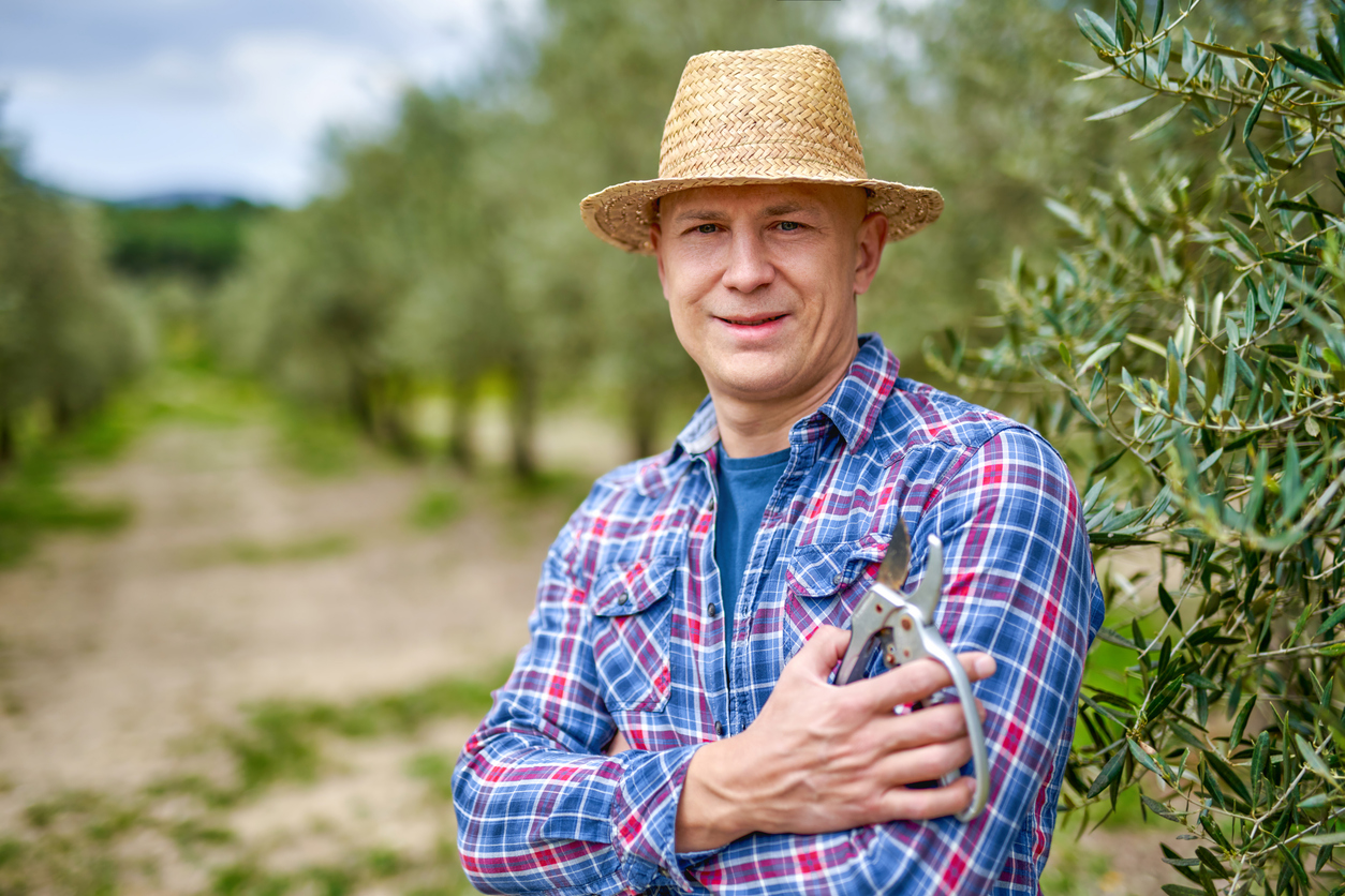 Gérer un verger d'oliviers - Devenir Paysanne Paysan